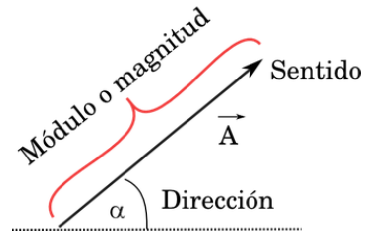 Vectores – Clases de Mecánica